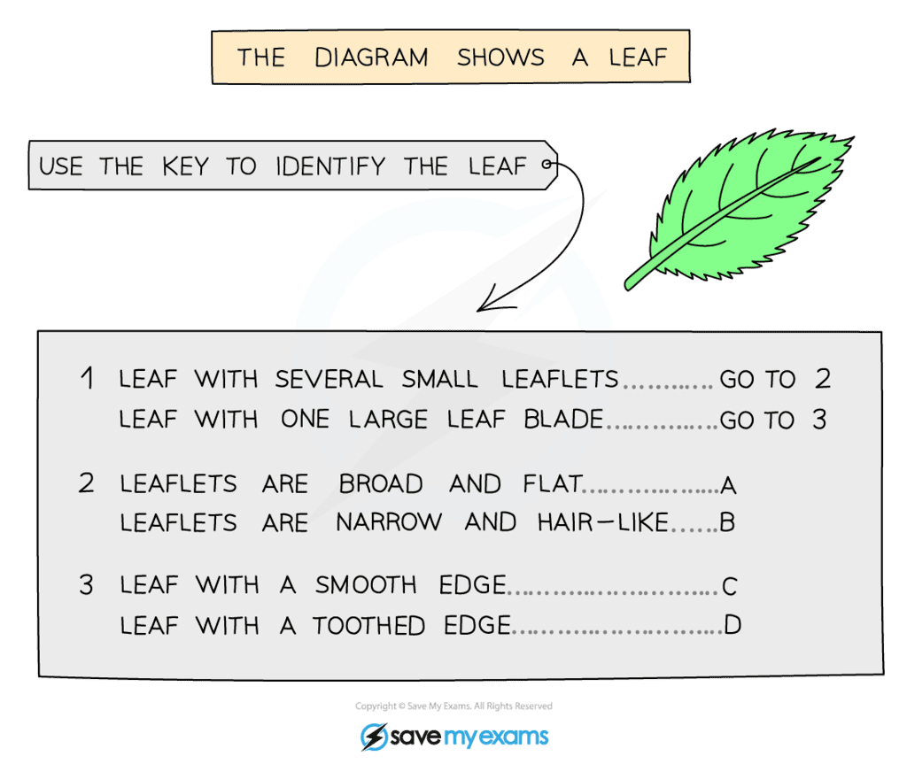 Concept and Uses of Classification Systems - 1 - Year 9 PDF Download