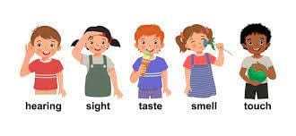 Nervous System - 2 Class 5 Worksheet Science