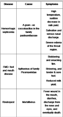 The animal gets swelling on hind quarters, shoulders and neck, limps ...
