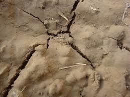 Rajasthan - Soils - RPSC Preparation: All subjects - RPSC RAS ...