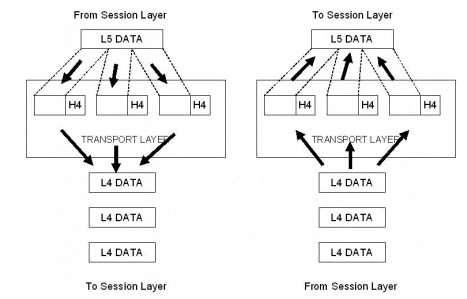 OSI Model - Computer Networks - Computer Science Engineering (CSE) PDF Download