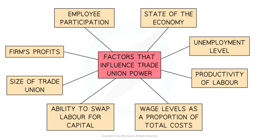 The Role of Trade Unions - Year 11 PDF Download