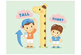 Worksheet: Long and Short - 1 - Mathematics for Class 4: NCERT PDF Download