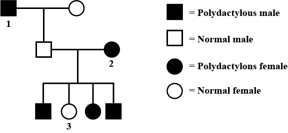 Pedigree Analysis (NCERT) Free MCQ Practice Test with Solutions - NEET