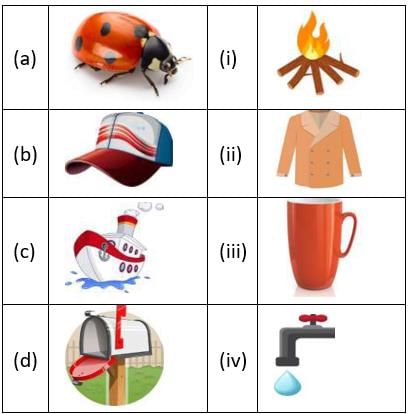 The Bat Poem By Ruskin Bond Questions And Answers | Sitedoct.org