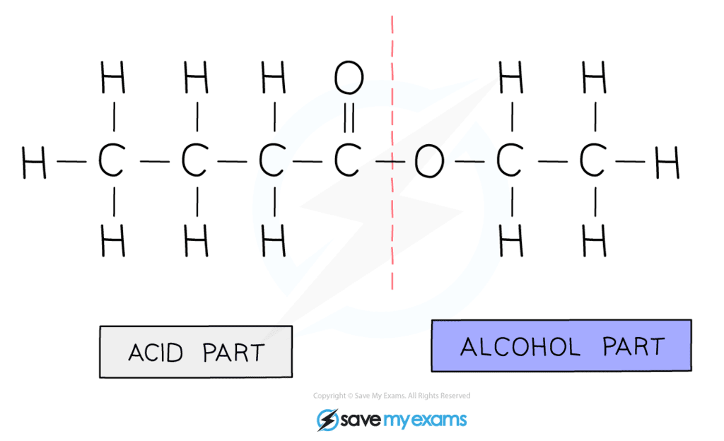 Ethanoic Acids and Esterification Reactions - Year 11 PDF Download