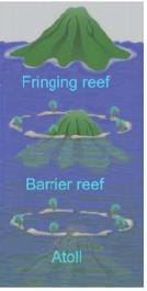 Consider the following statements:1. Coral reefs are formed from the ...